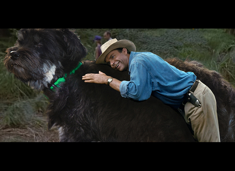We recreated Jurassic Park with our dog, the results are adorable