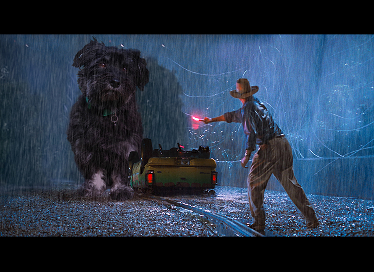 We recreated Jurassic Park with our dog, the results are adorable